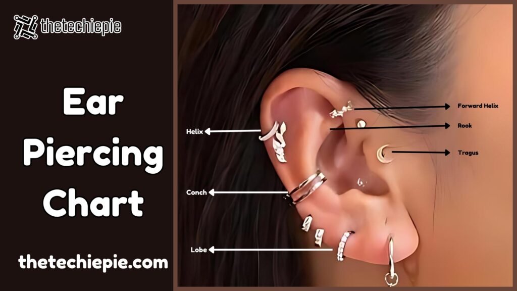 Ear Piercing Chart: Find Stylish and Safe Ear Piercings