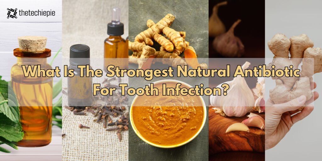 Strongest Natural Antibiotic For Tooth Infection