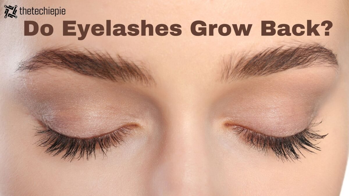 Do Eyelashes Grow Back? Find out Falling Reasons, Tips & Regrowth ...