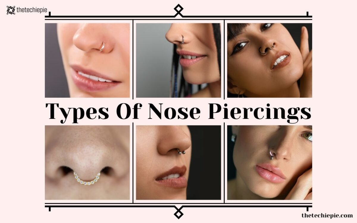 Type of Nose Piercings And Jewelry According To Face Shapes - thetechiepie